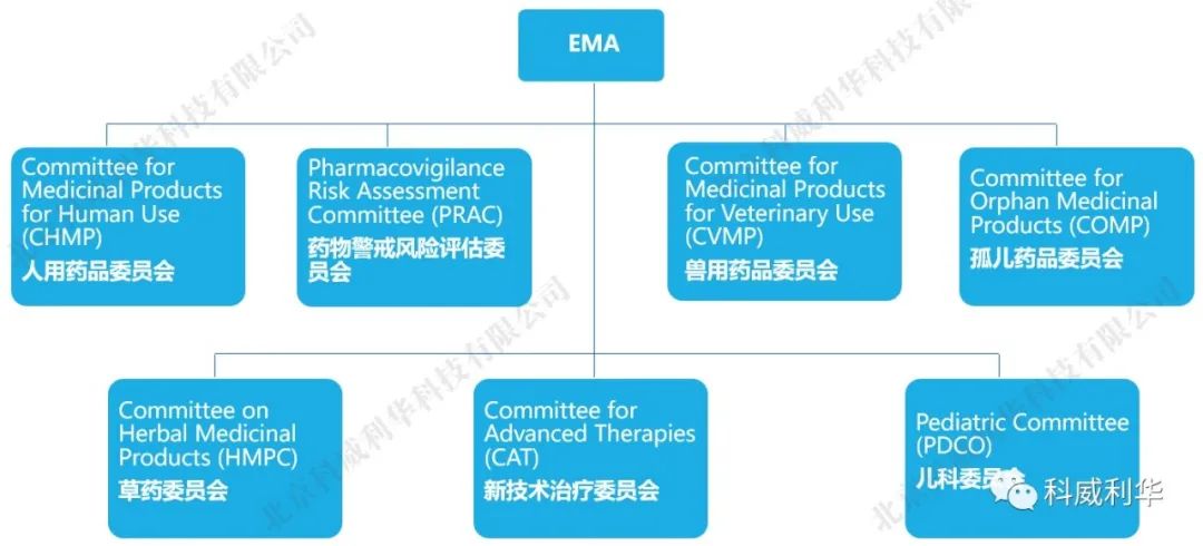 推荐 | 一文理清EC、EMA、HMA, NCA及EDQM在欧洲药品注册中的职能和关系 | 药研导航