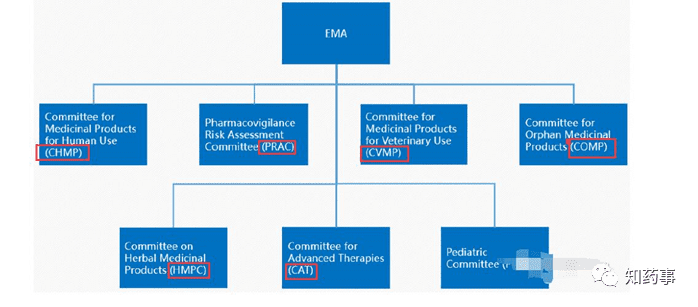 一文看懂欧盟机构： EMA ，HMA，EDQM，CHMP，CVMP，COMP，CMDh | 药研导航